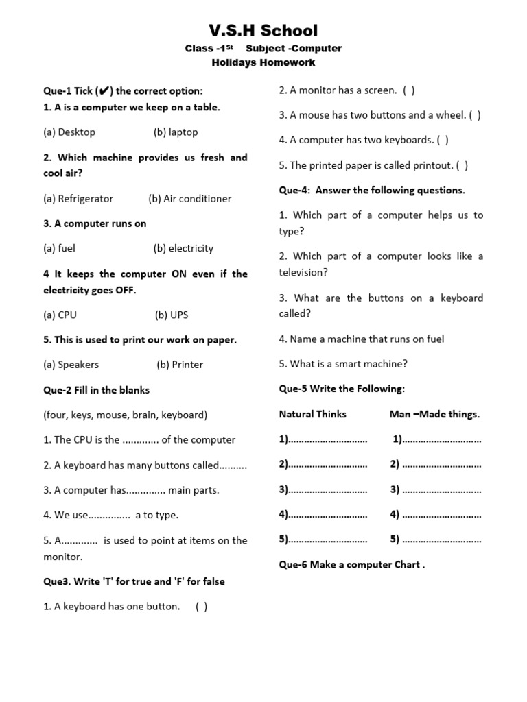 Class 1 Computer Holiday Homework | PDF