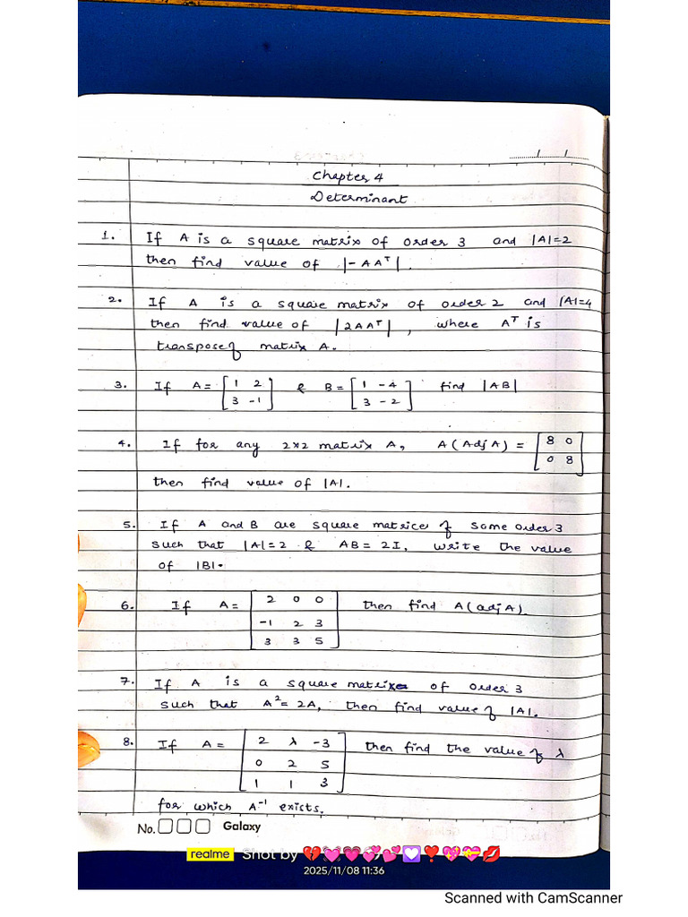 Determinants Worksheet | PDF