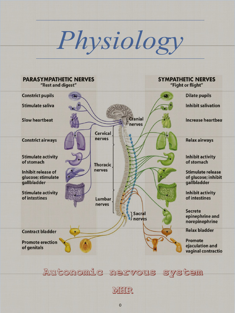 Autonomic 90013 | PDF | Nervous System | Autonomic Nervous System