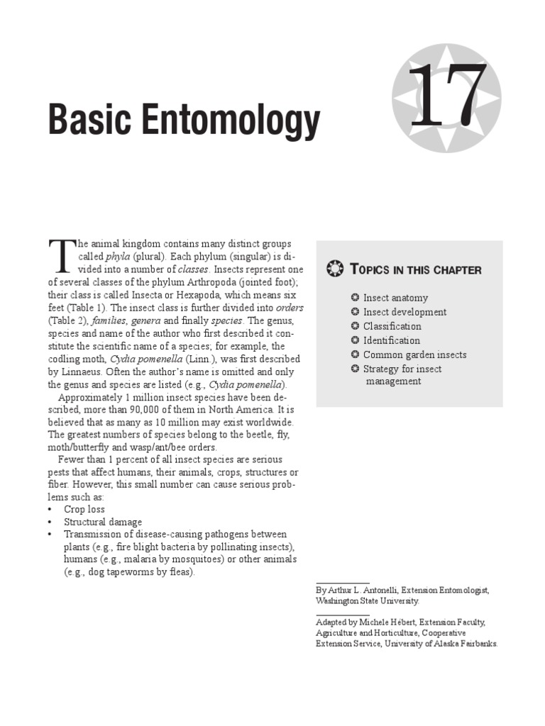 17 Basic Entomology | PDF | Insects | Fly