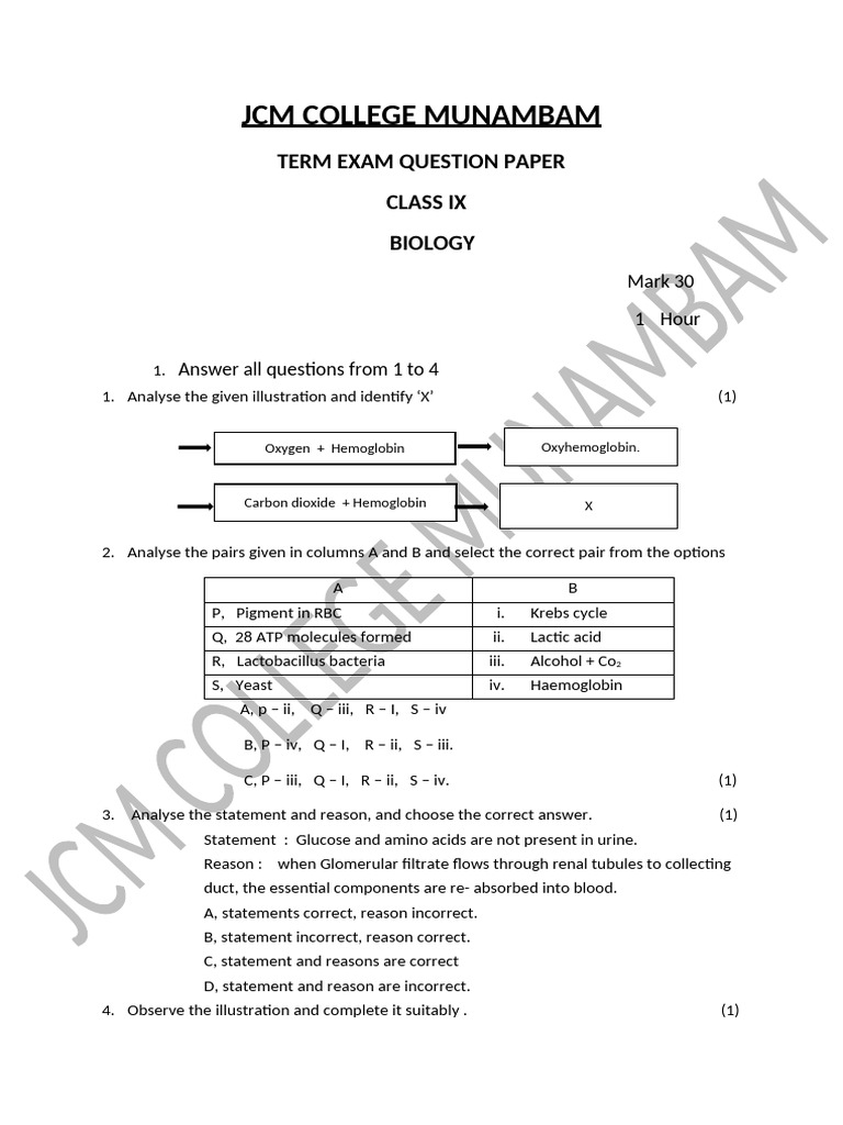 Class IX Biology Term Exam Paper | PDF | Hemoglobin | Kidney