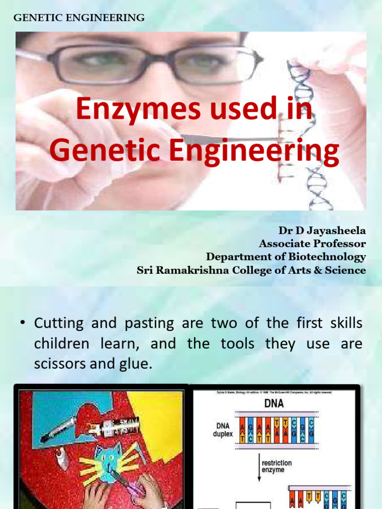 Enzymes Used in Genetic Engineering | PDF | Restriction Enzyme | Dna