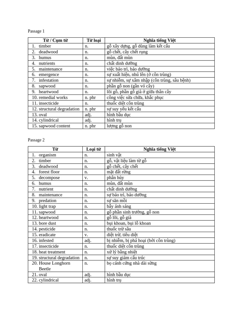 Word List 23-11 | PDF