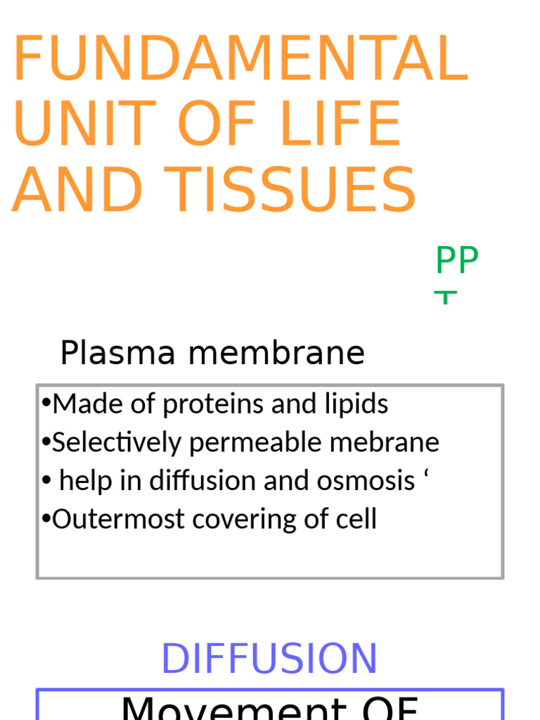 Fundamental Unit of Life and Tissues 3 | PDF | Endoplasmic Reticulum ...