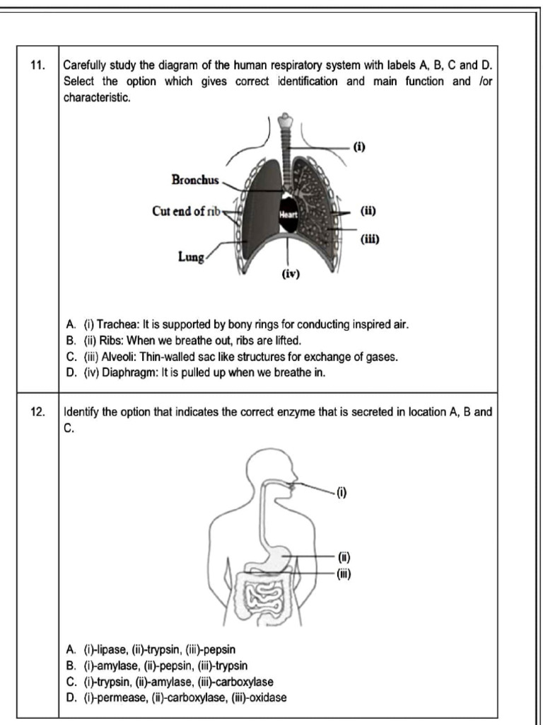 Test of Biology | PDF
