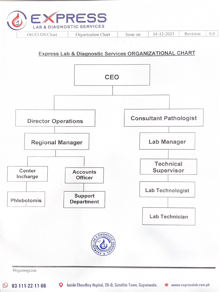 Organogram Express Lab | PDF