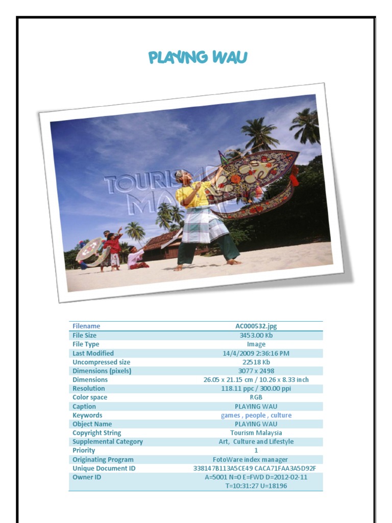 Playing Wau Cultural Image | PDF