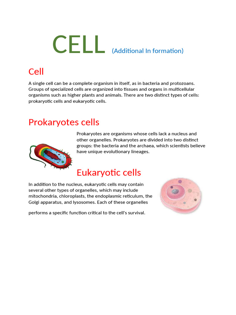 Types of Cells: Prokaryotic vs Eukaryotic | PDF
