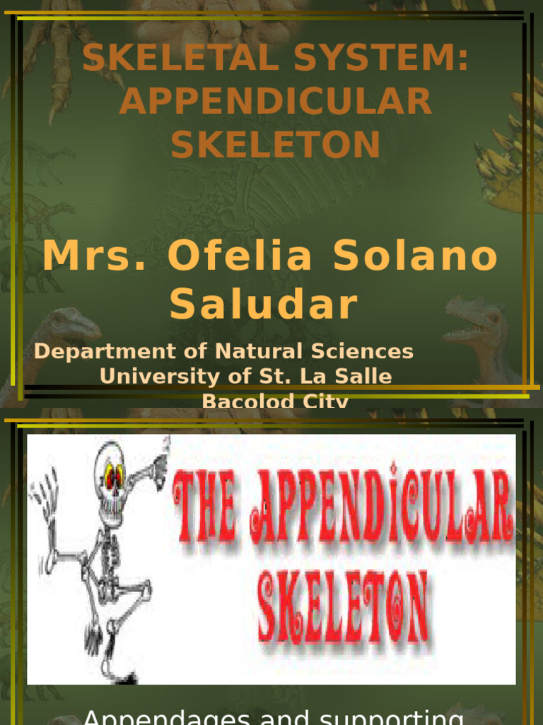 Appendicular Skeleton Overview | PDF | Pelvis | Musculoskeletal System