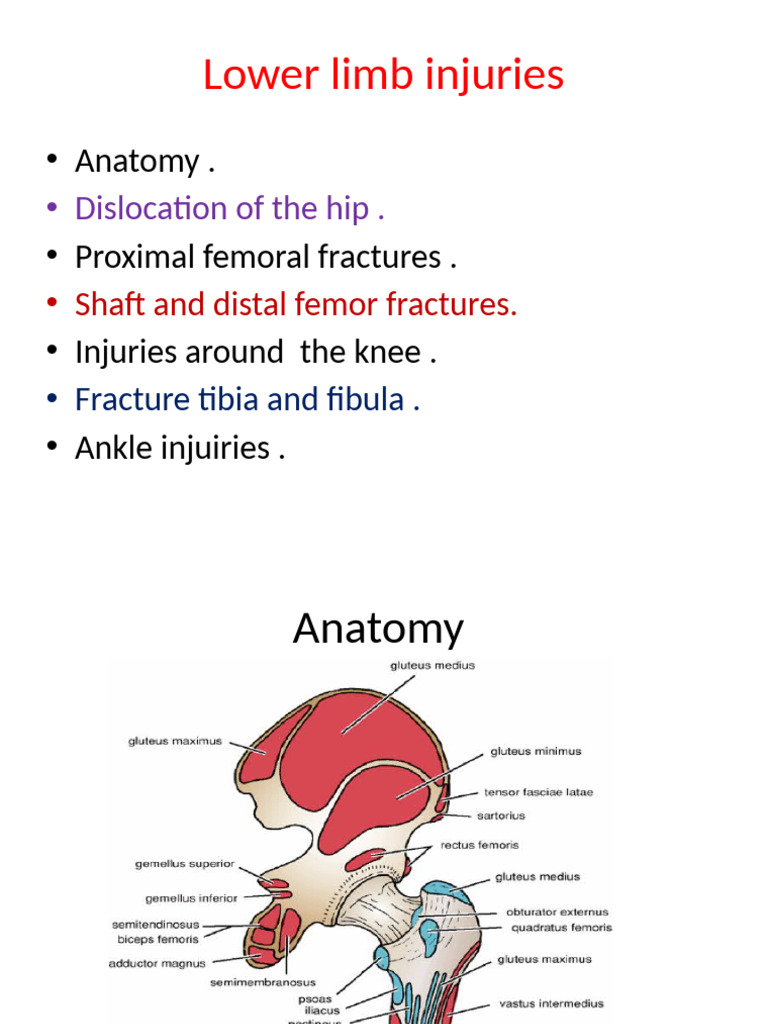 Lower Limb Injuries 5 | PDF | Knee | Ankle