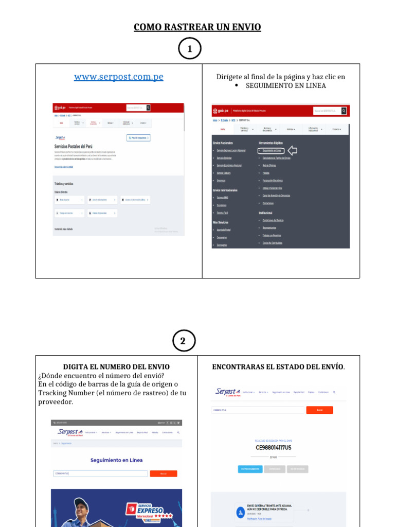 Como Rastrear Un Envio | PDF