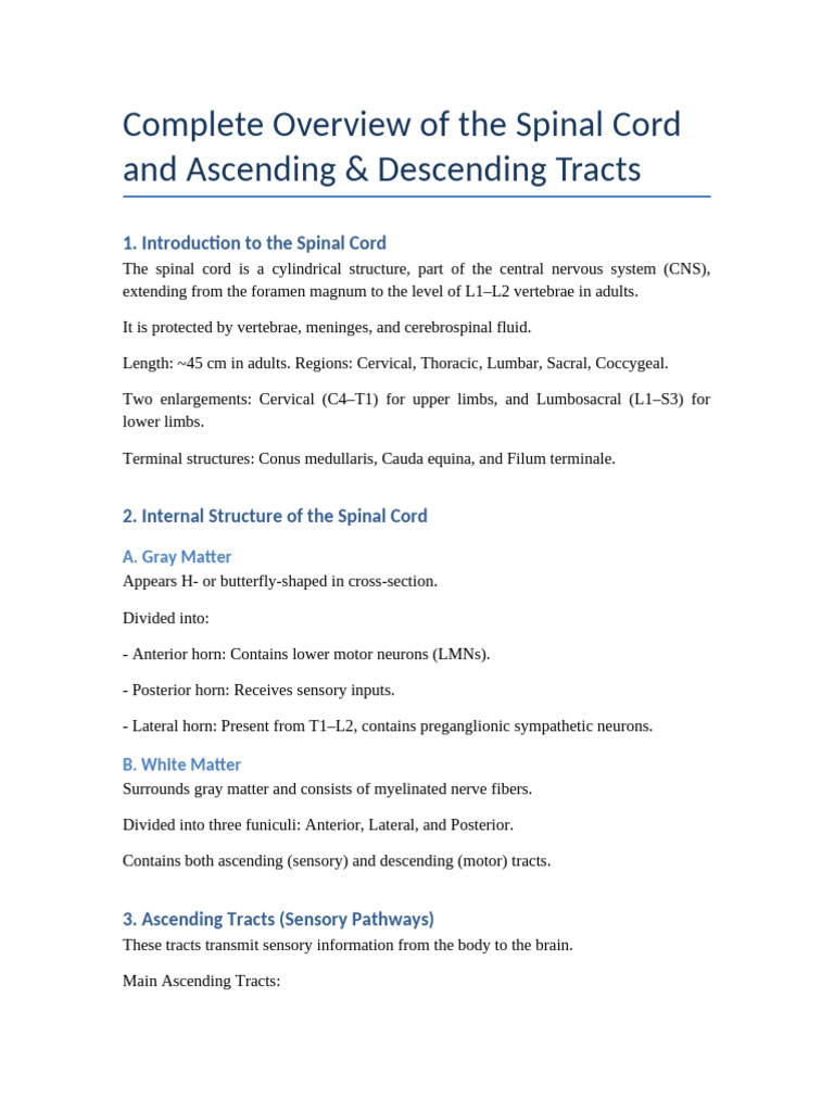 Spinal Cord Overview: Tracts & Functions | PDF | Spinal Cord | Neuroanatomy
