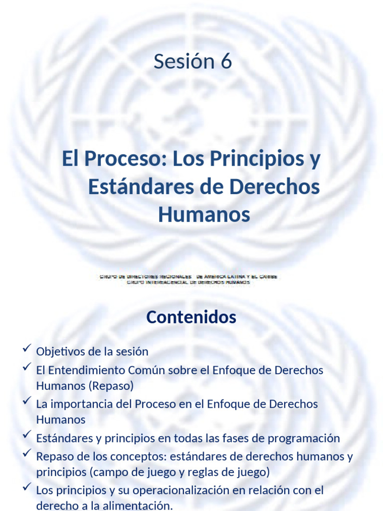 Principios de Derechos Humanos en Desarrollo | PDF | Discriminación ...