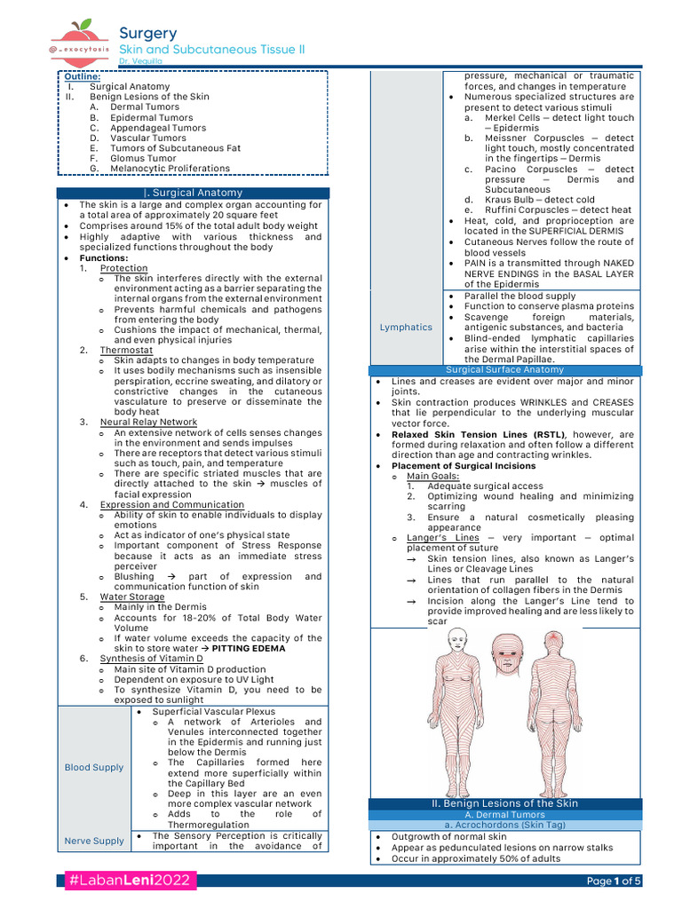 Skin and Soft Tissue 2 | PDF | Skin | Epidermis