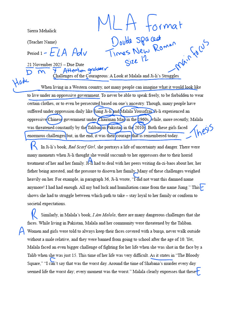 Mehalick RSG and IAM Essay | PDF | Malala Yousafzai