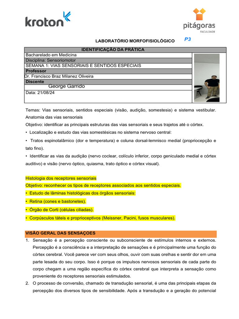 Lmf s1 - 3p Vias Sensoriais | PDF | Medula espinhal | Audição