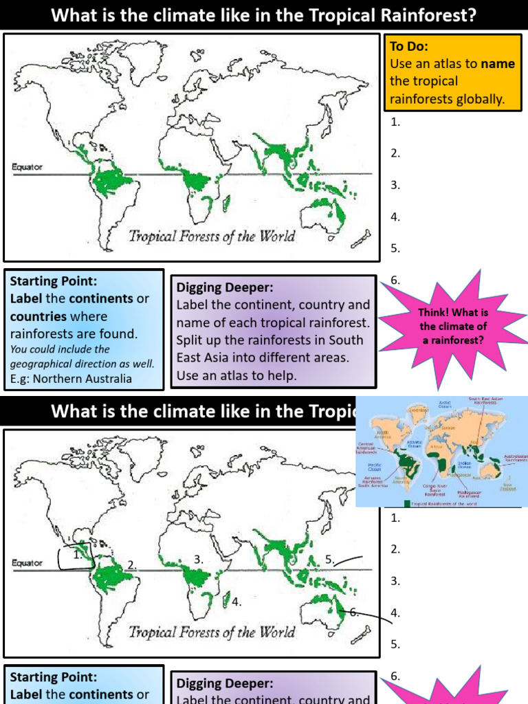 L3 What is the Climate of a Tropical Rainforest | PDF | Rain | Tropics