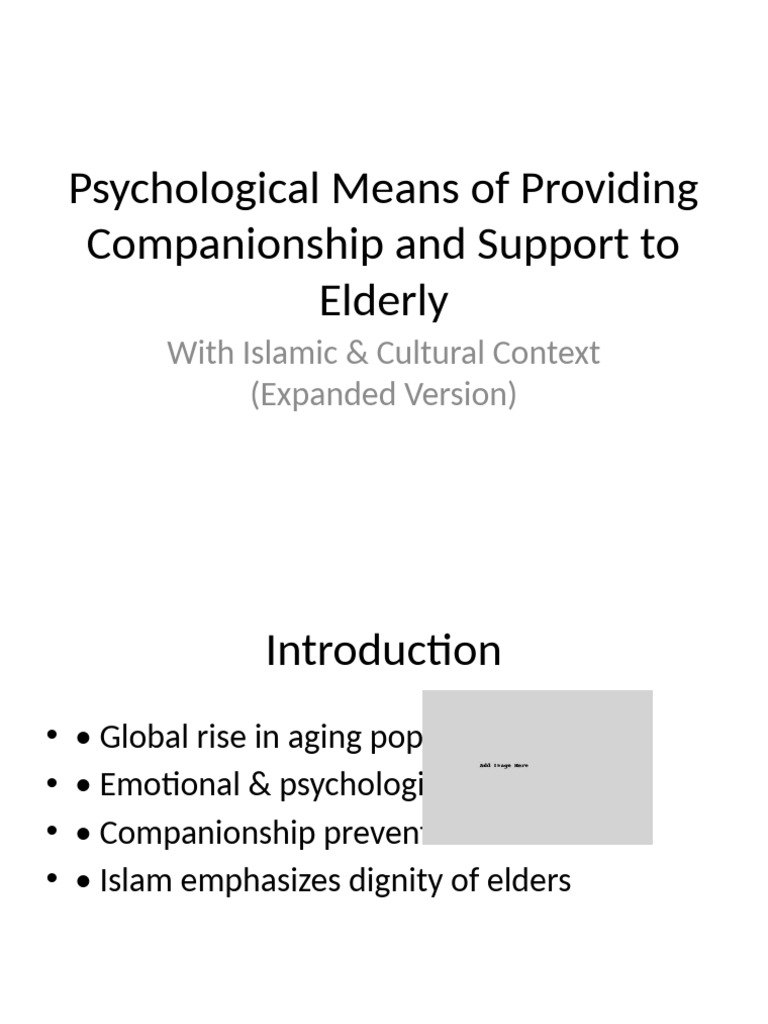Companionship Strategies for Elderly Care | PDF