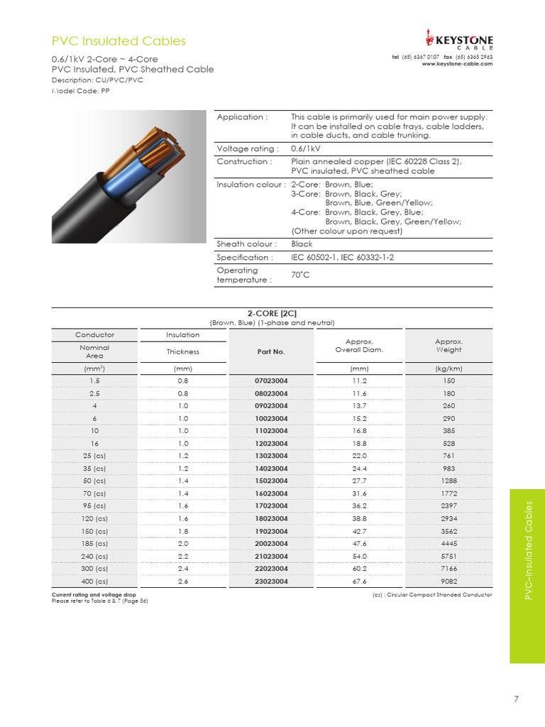 0.6_1kV-2C-4C-PVC-Insulated-PP-2024.1 | PDF | Insulator (Electricity ...