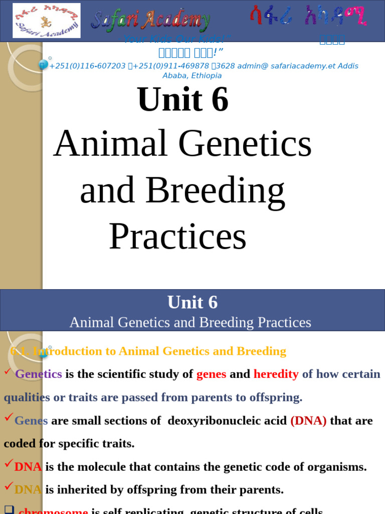 Agriculture Lesson Note For Grade 11 | PDF | Genetics | Plant Breeding