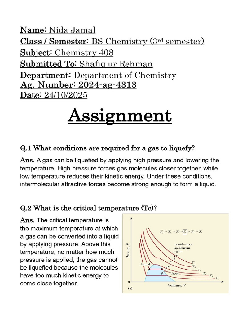 Nida Jamal 2024-Ag-4313 Chem 408 | PDF