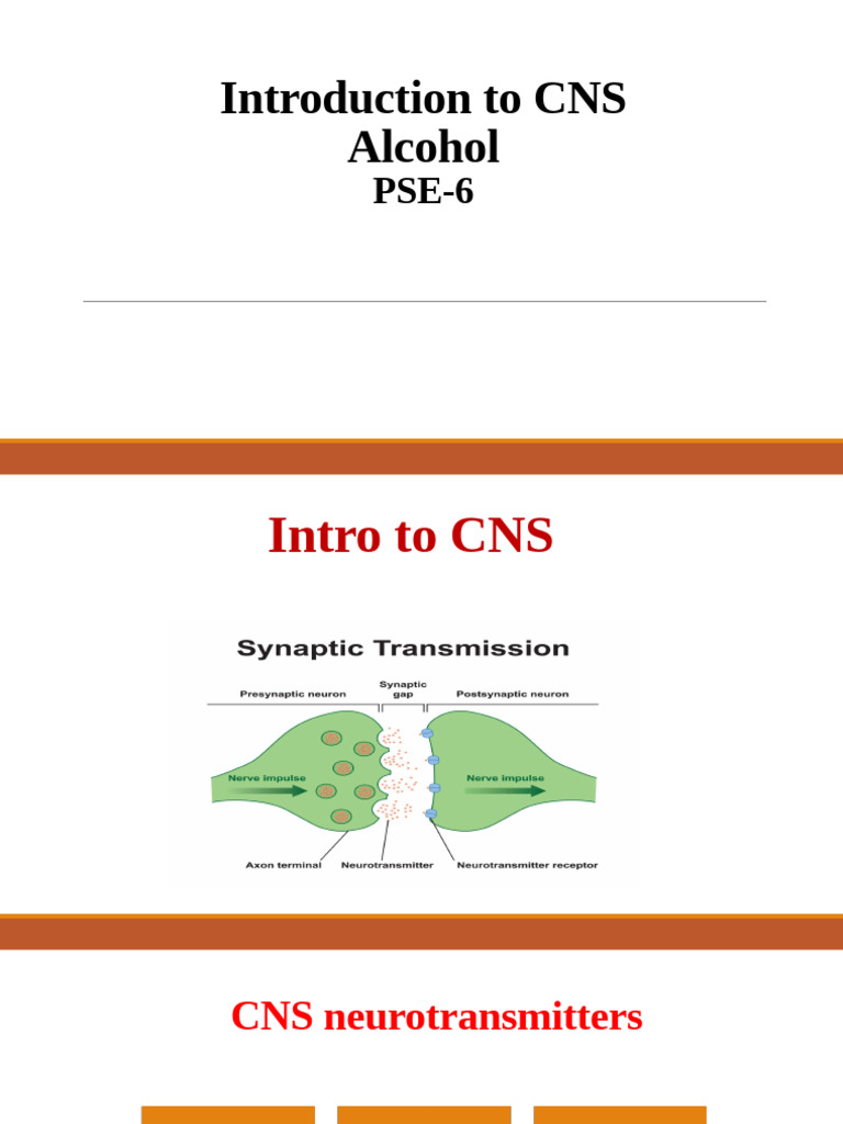 Understanding CNS Effects of Alcohol | PDF | Alcoholism | Medical ...