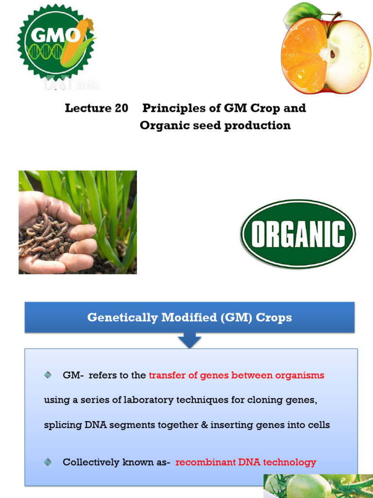 SST 201 - Principles of GM Crop - PPT 1 - Agri Junction | PDF | Genetic ...