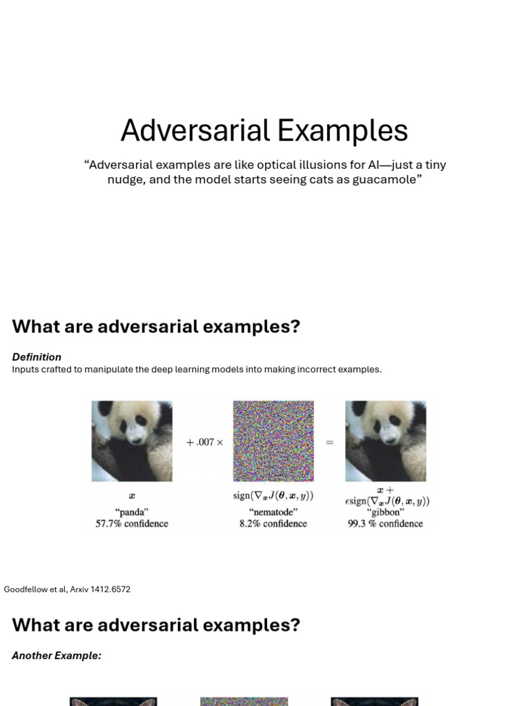 Adversarial Examples v5 | PDF | Statistical Theory | Algorithms