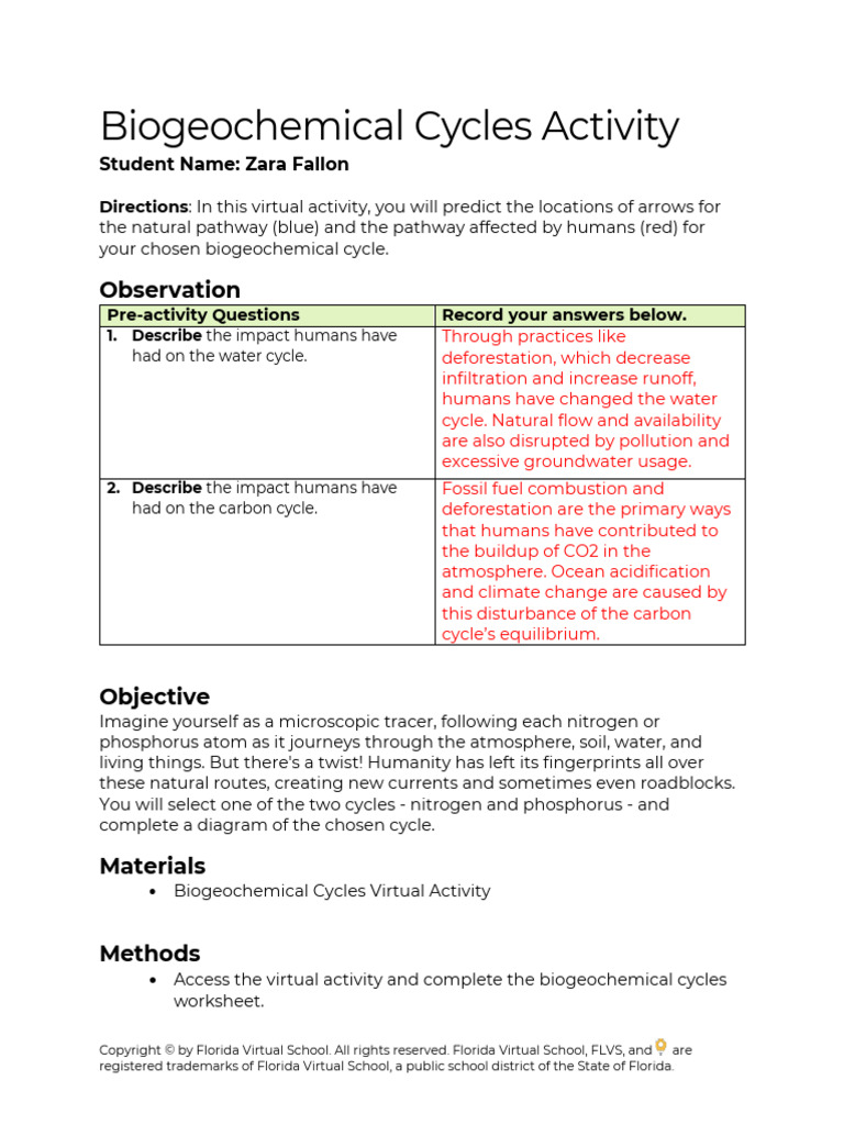 Biogeochemical Cycles Activity Guide | PDF | Nitrate | Nitrogen