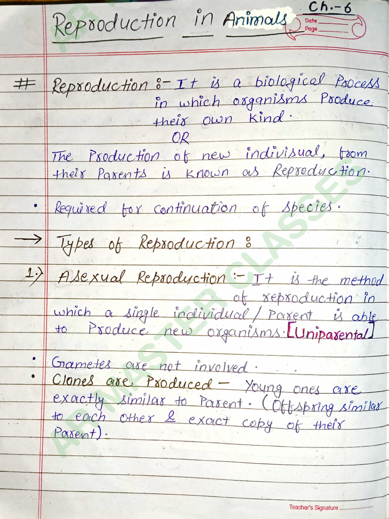 Class 8 Sci. (Reproduction in Animals) Notes | PDF | Reproduction ...