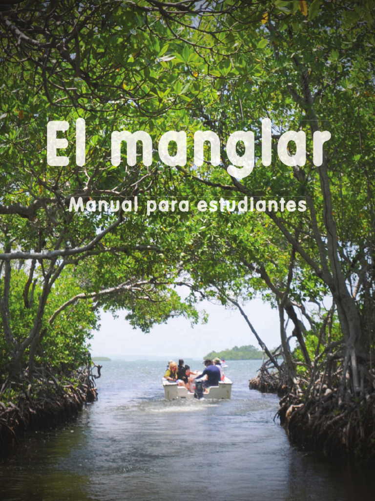 El Manglar Manual para Estudiantes Puerto Rico 2014 | PDF | Mangle | Costa