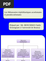 Définition et classification des métazoaires | PDF | Anatomie | Biologie
