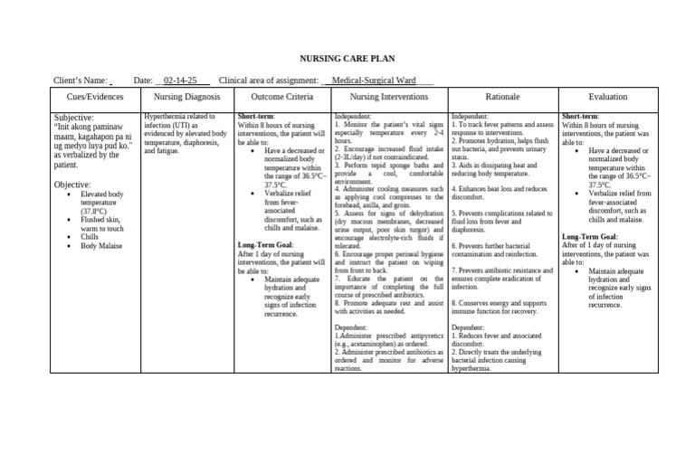 NCP Hyperthermia | PDF | Fever | Dehydration