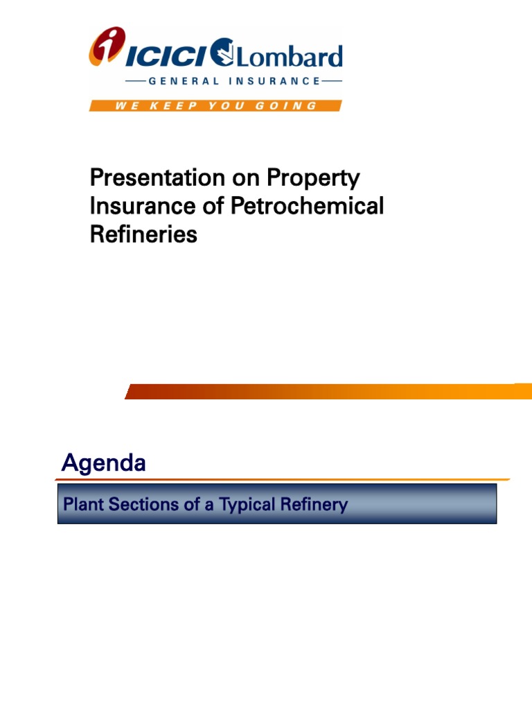 Petrochemical Plant Insurance Overview | PDF