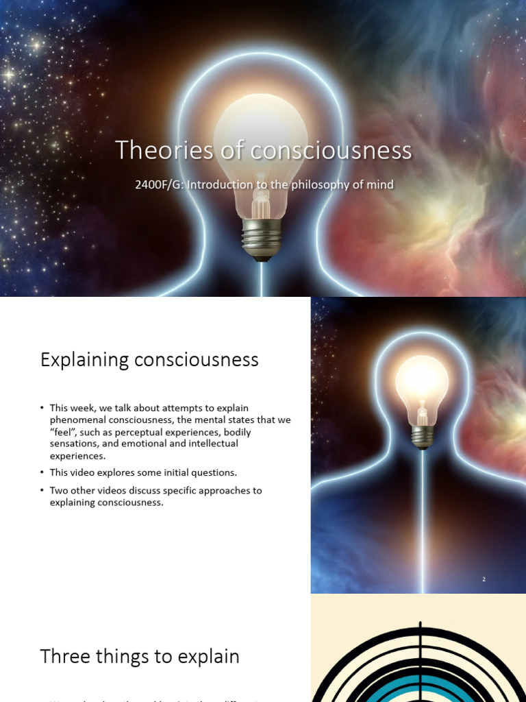 Explaining Phenomenal Consciousness | PDF | Consciousness | Experience