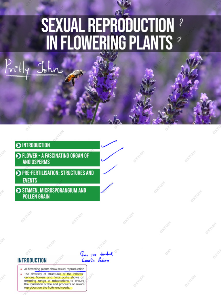 Sexual Reproduction in Flowering Plants | PDF | Botany | Reproduction