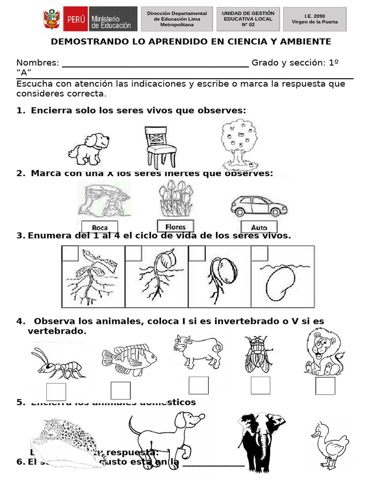 Demostrando Lo Aprendido en Ciencia y Ambiente - Final | PDF