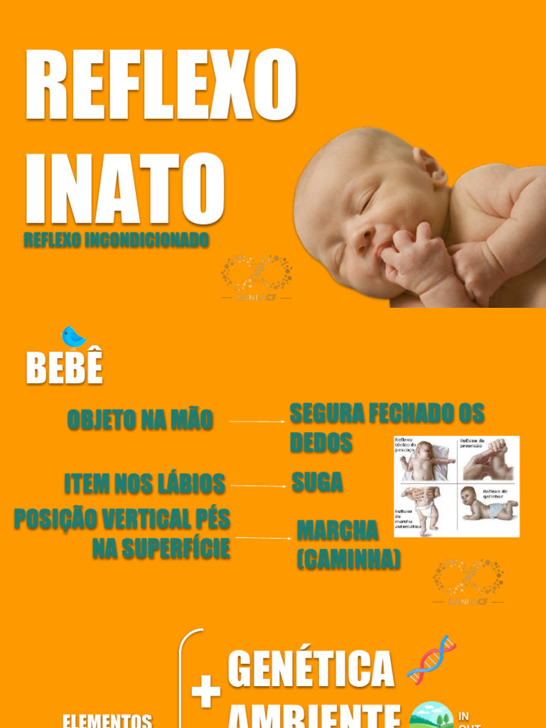 Aula 1 Reflexo | PDF