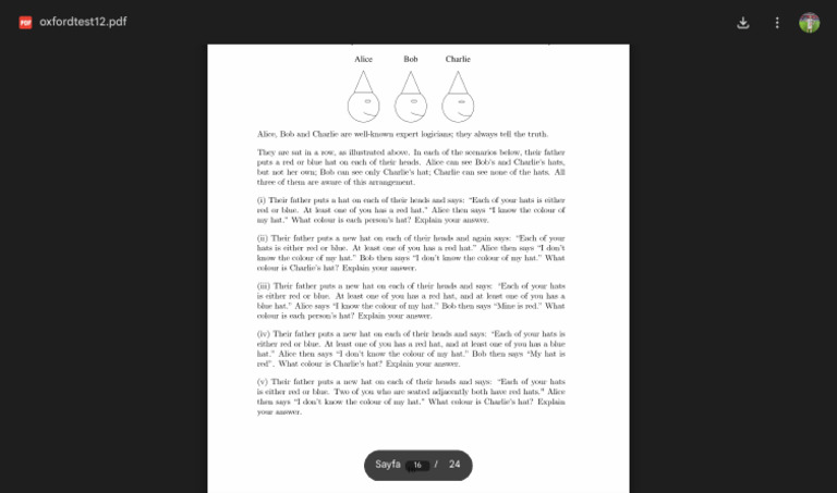 Logic Hat Color Puzzles Explained | PDF