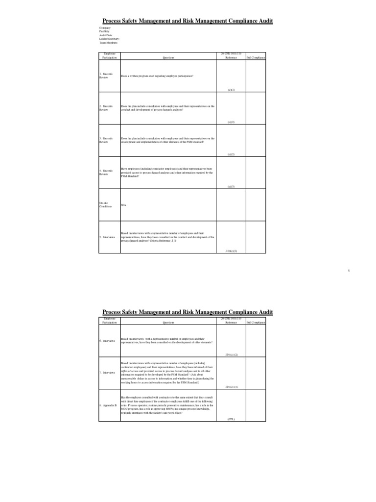 Blank PSM & RMP Audit Form | PDF | Safety | Employment