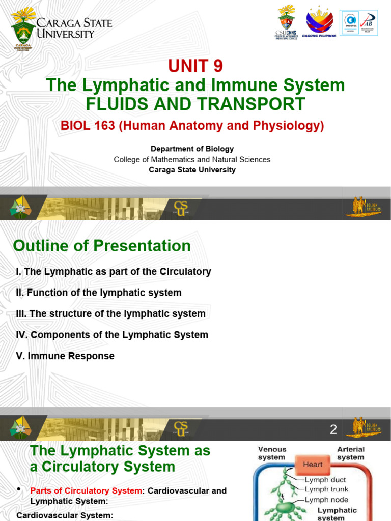 BIOL 163 Unit 9 Lymphatic and Immune System | PDF | Lymphatic System ...
