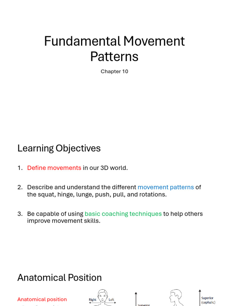2.02 BPK143 FundamentalMovements | PDF | Anatomical Terms Of Motion ...