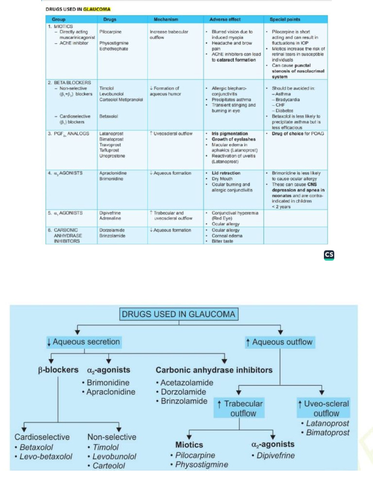 Best Points Pharma | PDF