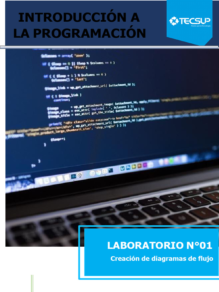 Diagramas de Flujo en Programación | PDF | Algoritmos | Programación de ...