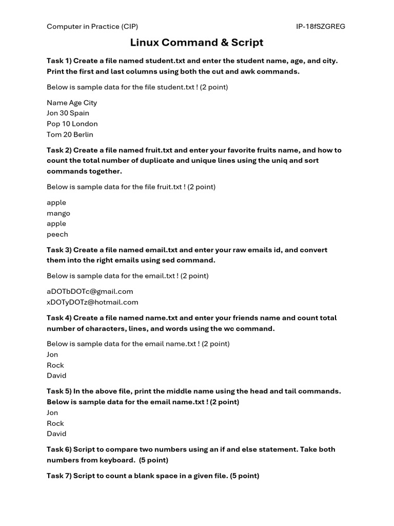 Linux Exam Sample | PDF