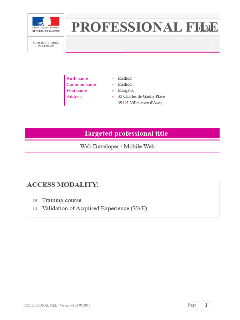 Example Professional File (1) | PDF | Databases | Word Press