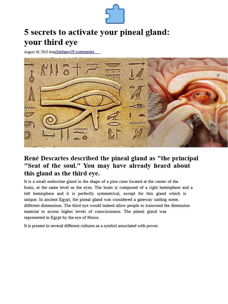 Free the Pineal Gland | PDF | Sleep | Circadian Rhythm