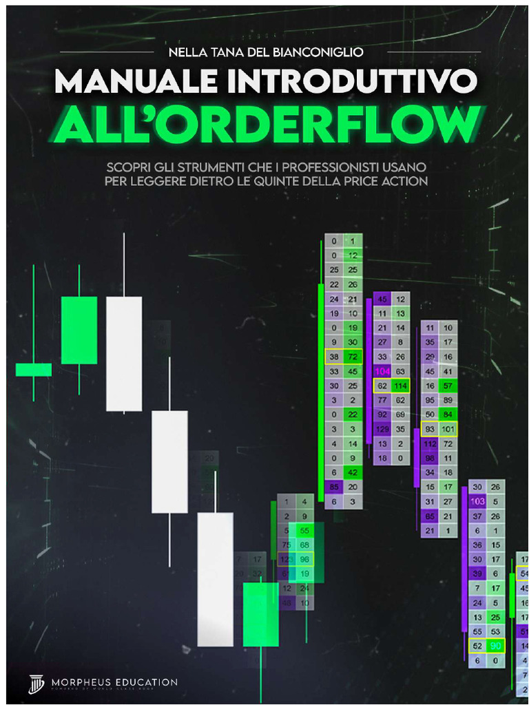 Introduction To Orderflow Manual Morpheus Education | PDF | Contract For Difference | Futures ...