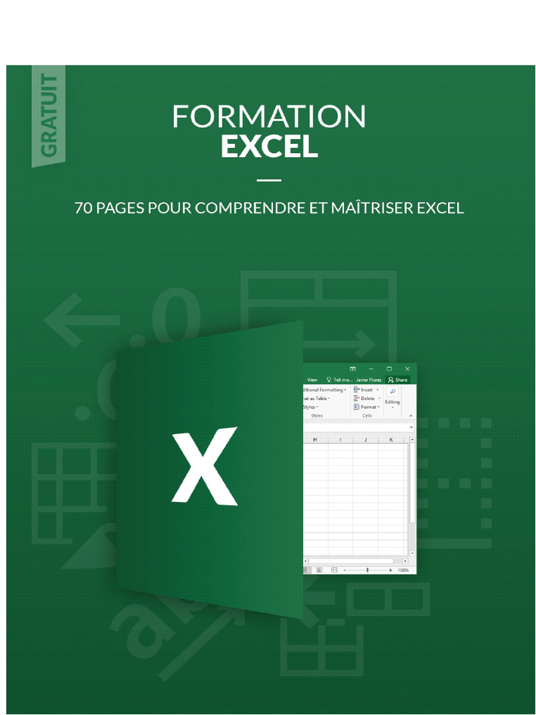 Panduan Lengkap Menggunakan Excel | PDF